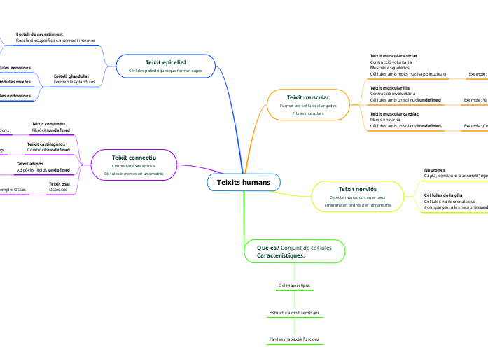 Teixits humans - Mind Map